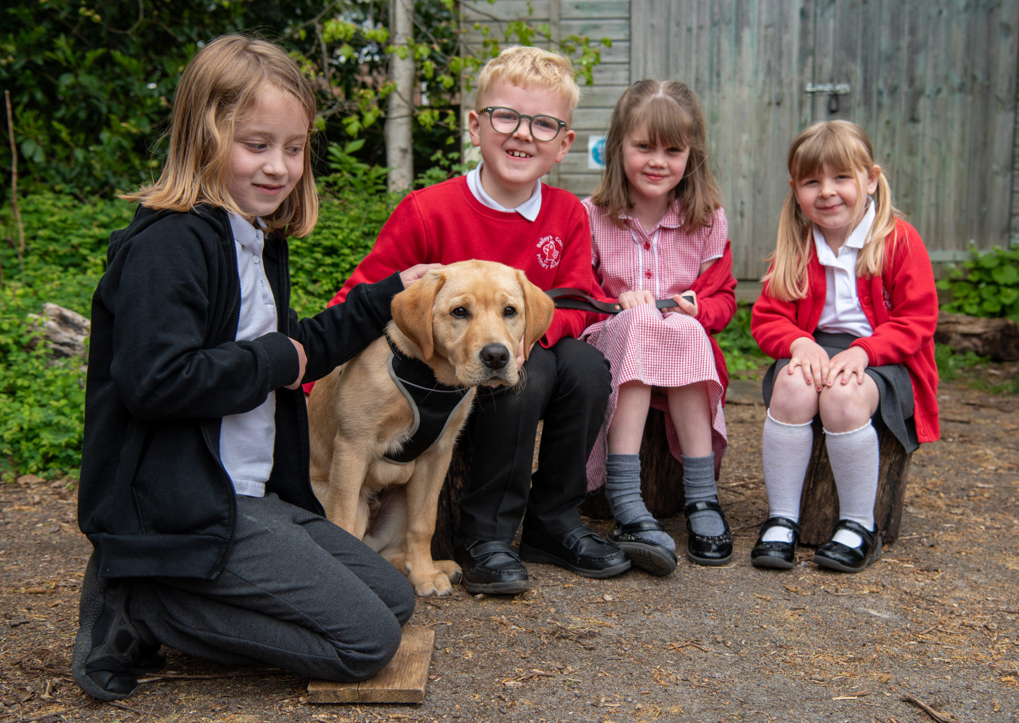 Uniform – Baileys Court Primary School